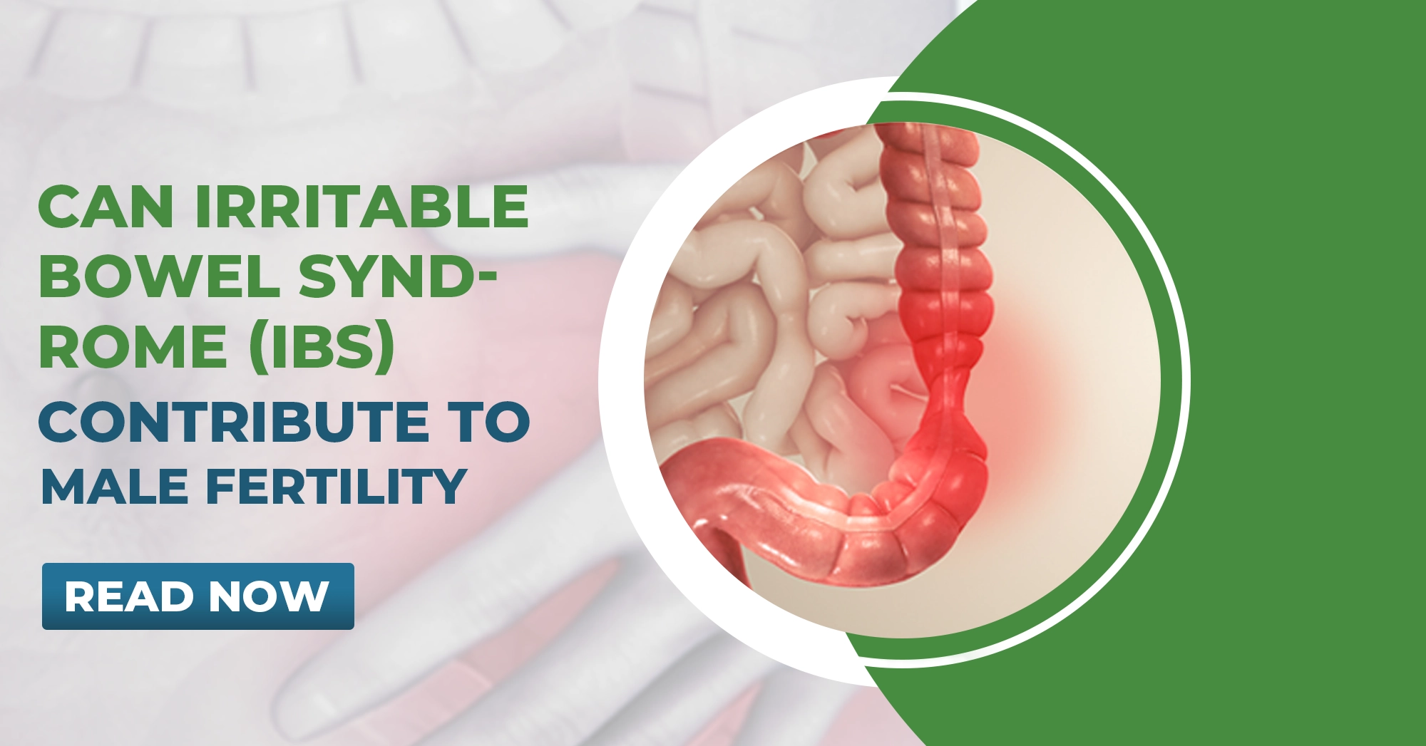 Can Irritable Bowel Syndrome (IBS) Contribute to Male Infertility ...