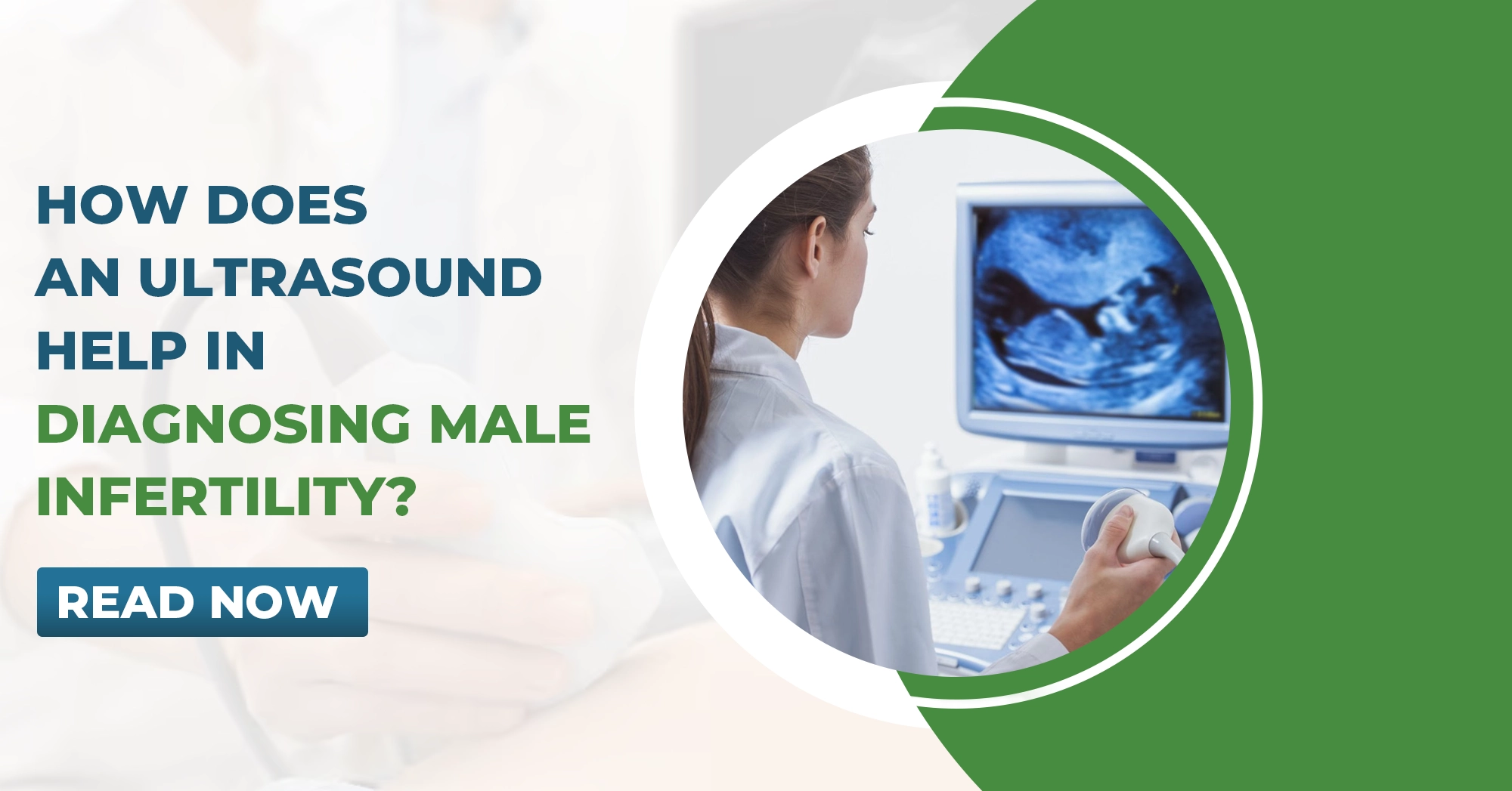 How Does an Ultrasound Help in Diagnosing Male Infertility? | World IVF ...