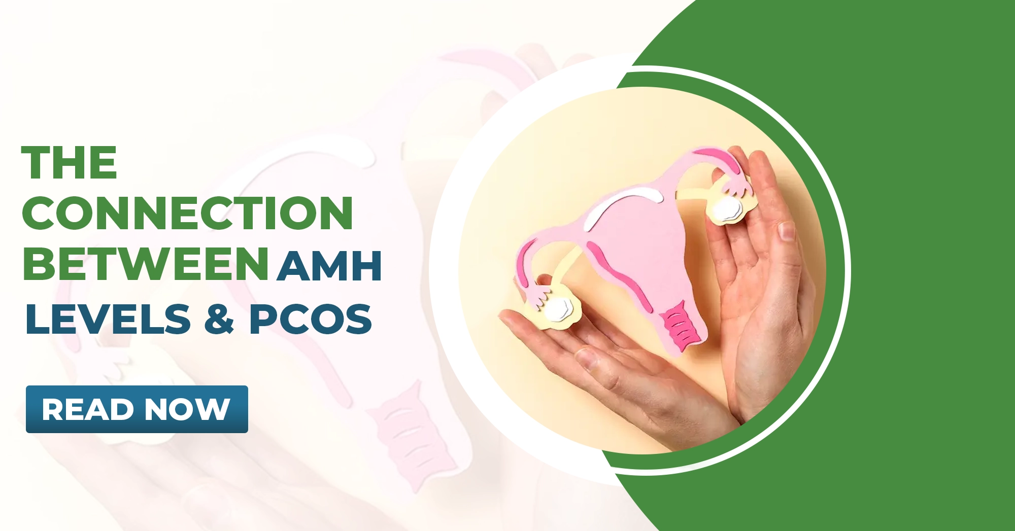 The Connection Between AMH Levels and Polycystic Ovary Syndrome (PCOS)